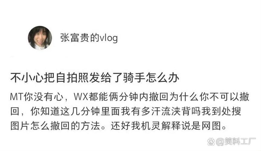 不小心把自己照片发给网友图标