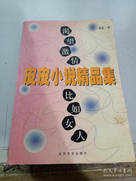 皮皮小说网图标