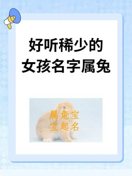 属兔取名最旺的字图标