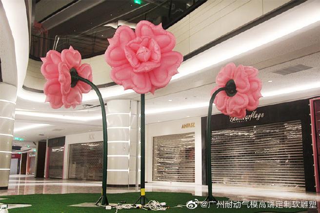 耐动花截图