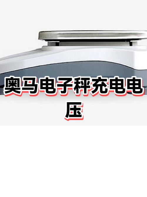 电子称多久充满电图标