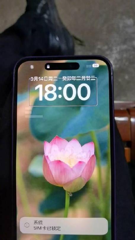 苹果手机旁白后屏幕失灵截图