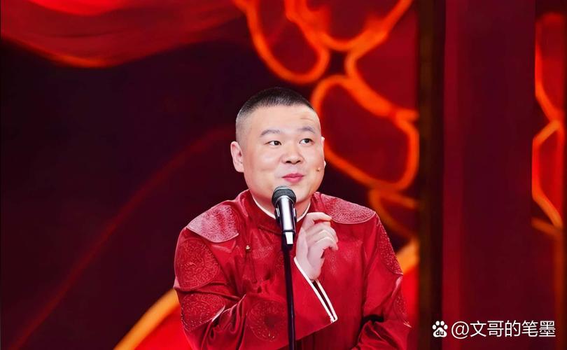 央视春晚岳云鹏图标