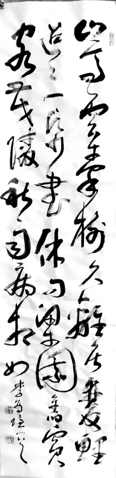 双鲤迢迢一纸书小说图标