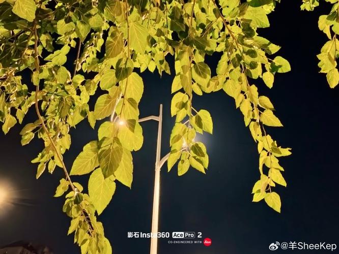 相机拍出来的照片太白了截图