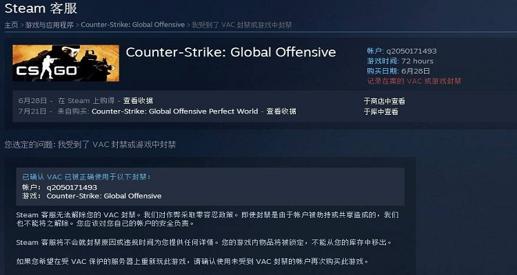 cs无法验证vac图标