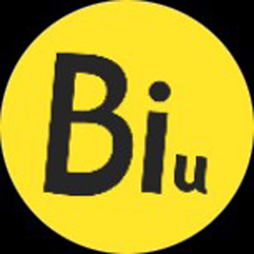 biu神器官网图标