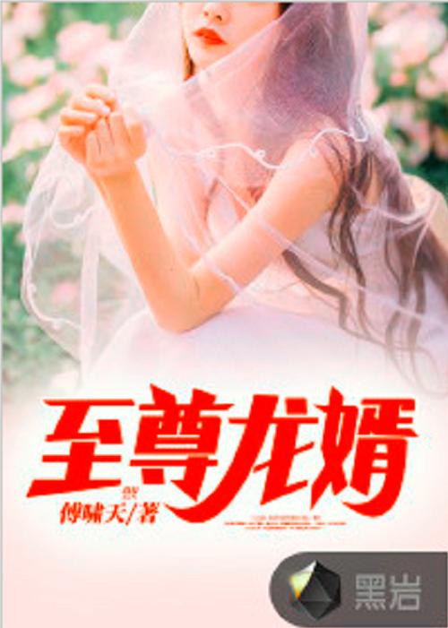 至尊龙婿免费阅读图标