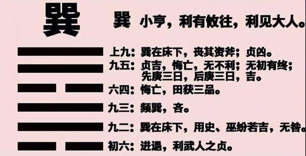 巽卦代表身体哪个部位图标