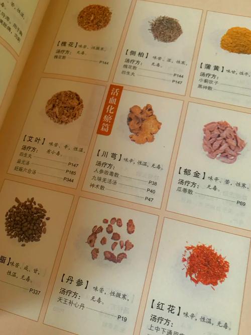 中医宝典方剂大全