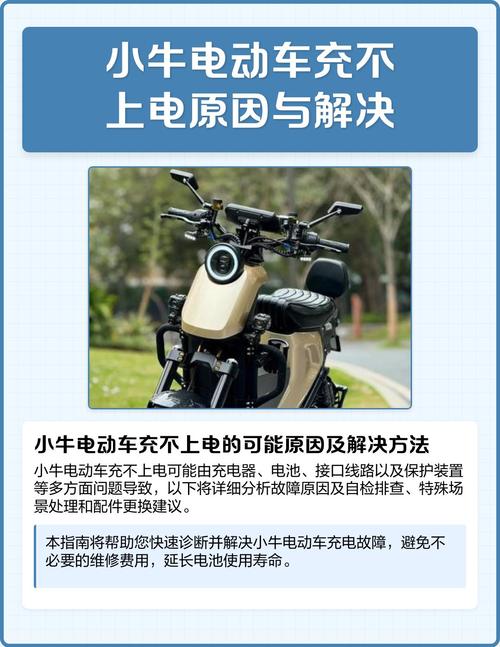 小牛电动车电瓶充不上电怎么解决