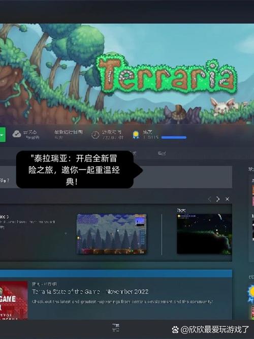 泰拉瑞亚无法联机加入截图