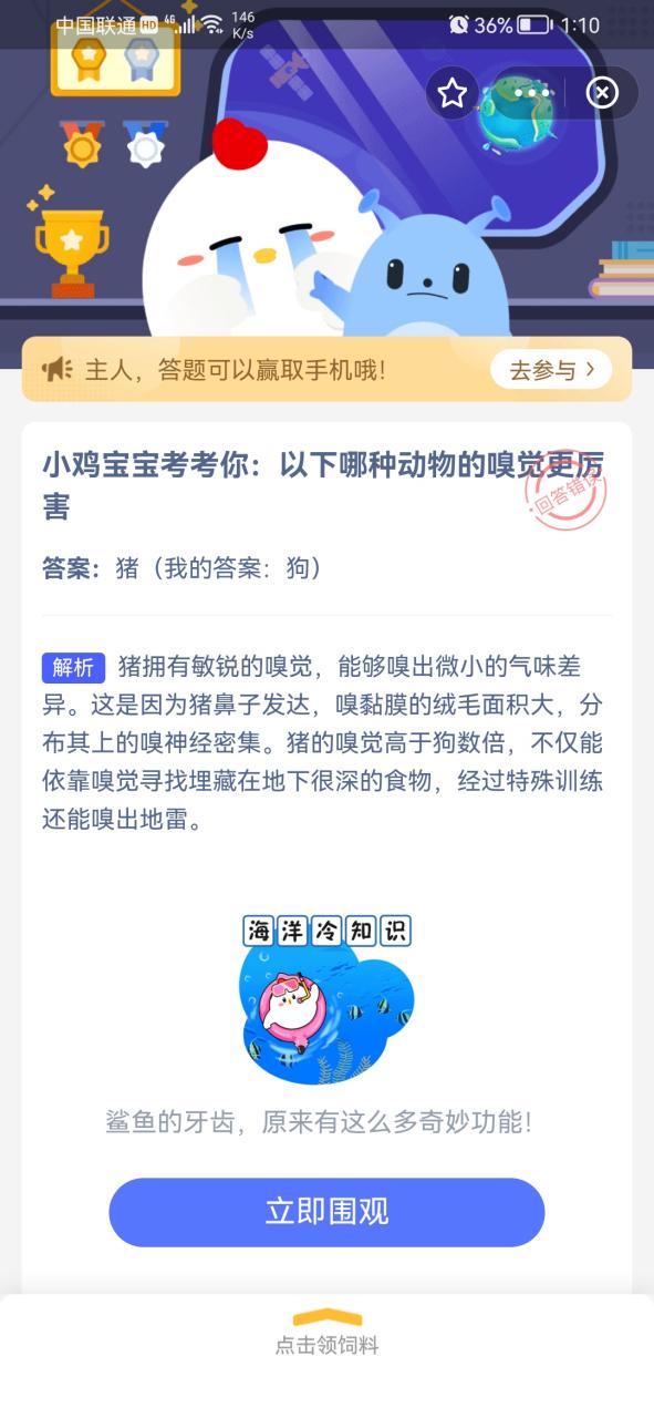 小鸡答题8.31图标