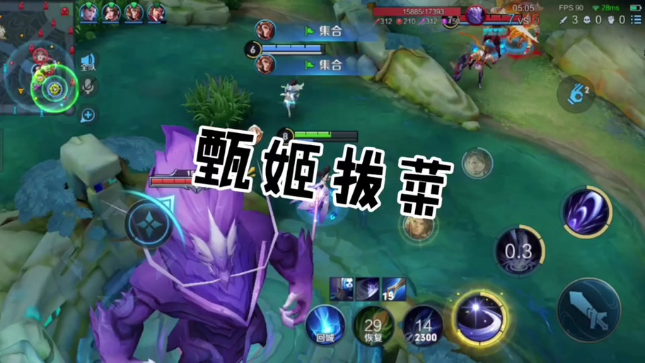 甄姬拔菜表情包截图