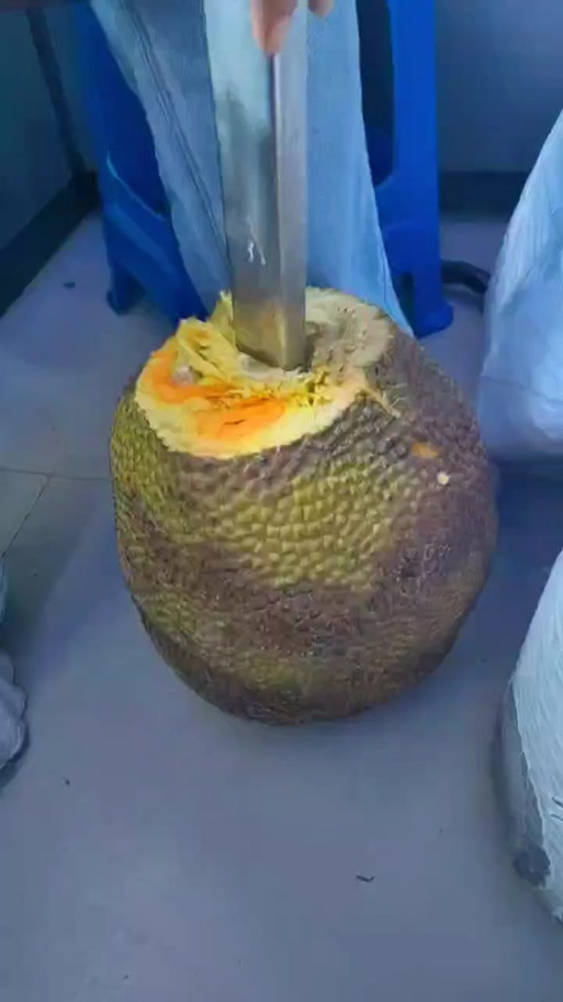 10斤菠萝蜜能剥出几斤肉图标