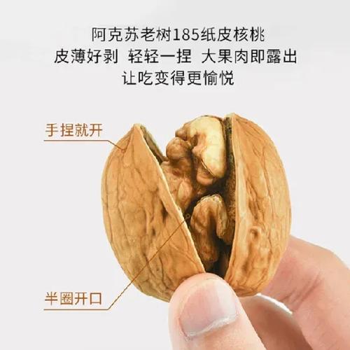 核桃作用和功效图标