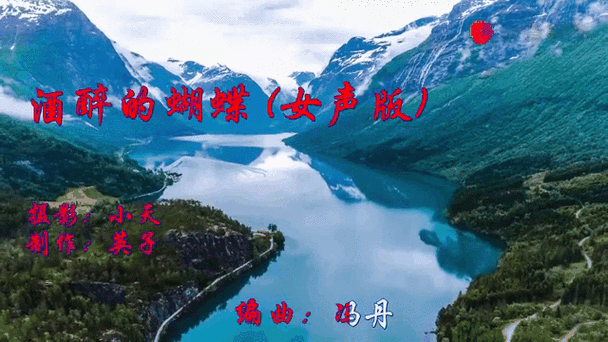 思思翻唱《酒醉的蝴蝶》图标
