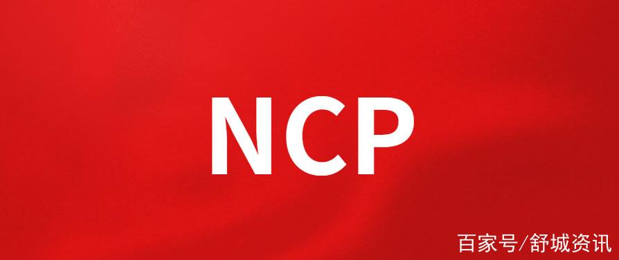 NCP是什么的缩写截图