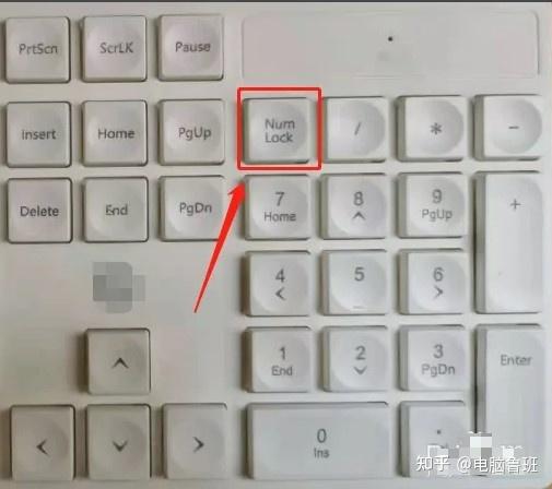 数字键盘变成了上下左右键截图
