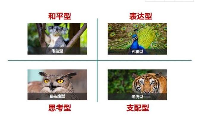 如何与老虎型性格的客户沟通图标