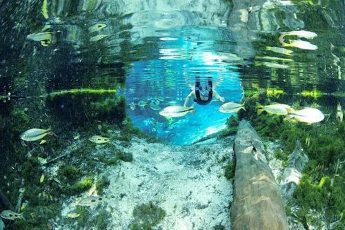 如何解决鱼缸水浑浊图标
