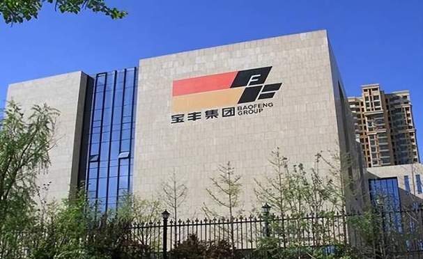 宁夏宝丰集团公司简介图标