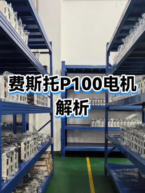 p100是什么意思图标