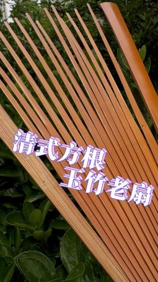 玉竹扇包浆图图标