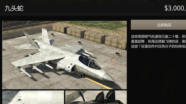 gta5线下有九头蛇吗截图