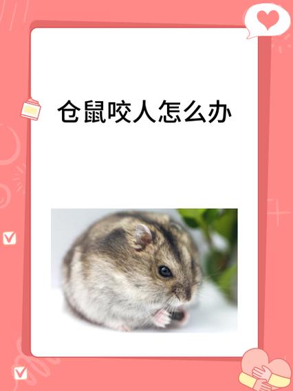 仓鼠咬人的前兆图标