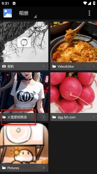 安卓壁纸去广告破解版图标