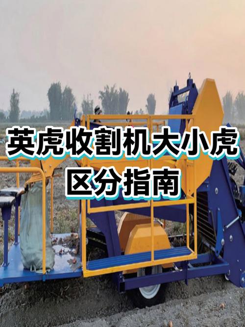小虎和大虎的区别图标