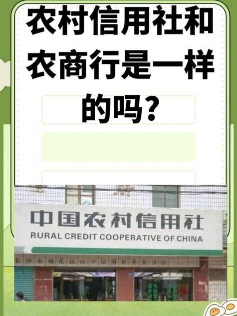 浙江农村信用社图标