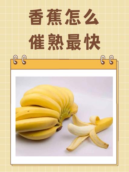 催熟效应by一颗水母图标