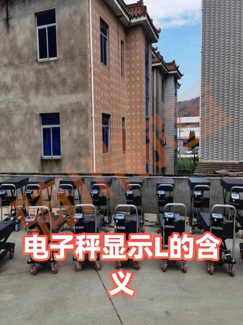 电子秤出现L是什么意思图标