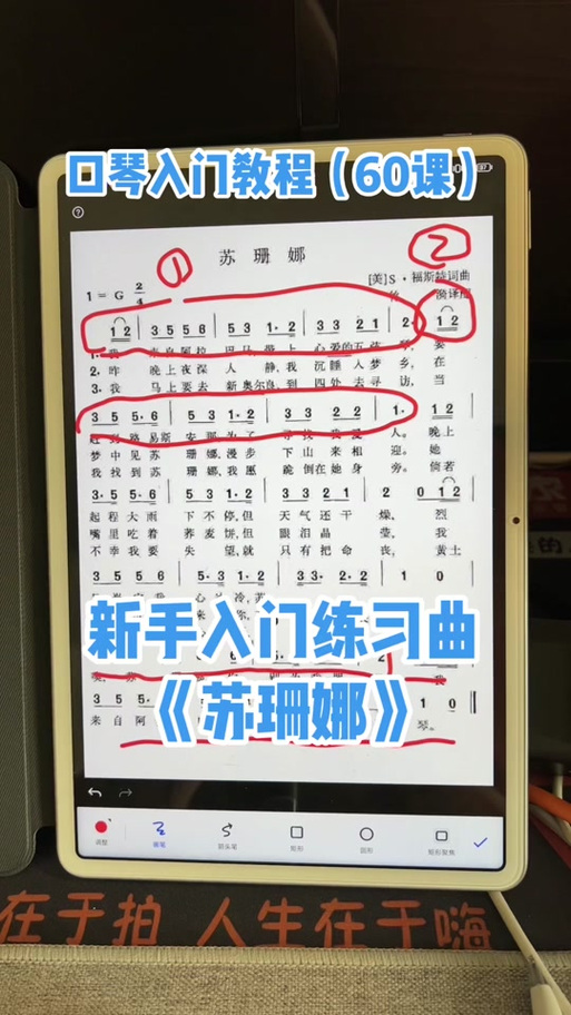 scum口琴按键