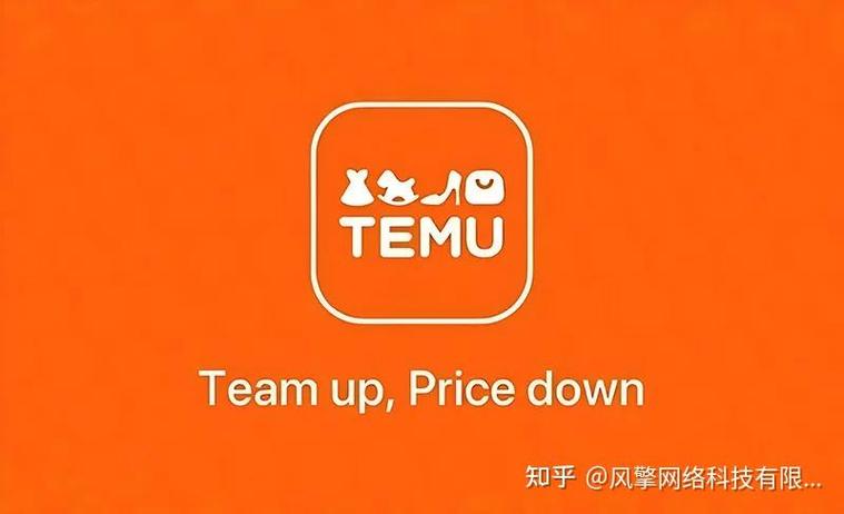 team跨境电商图标