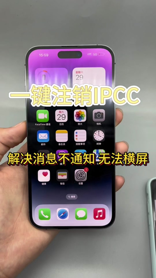 苹果的翻转屏幕设置截图