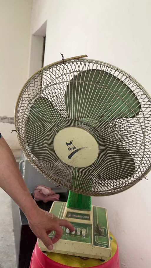 蝙蝠牌电风扇收藏价值图标