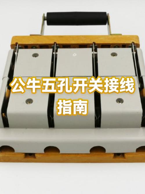 公牛五孔双开关插座接线图图标