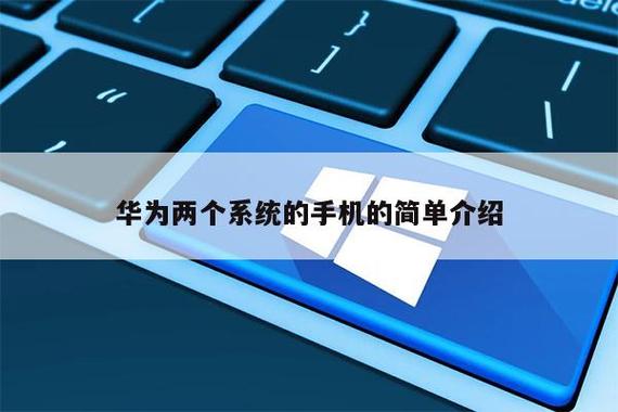 华为手机有双系统功能吗