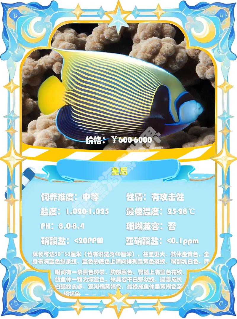 飞天鱼三部曲是哪三部图标