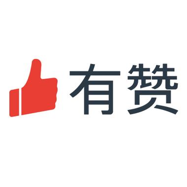 有赞图标
