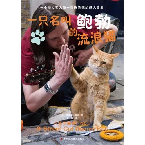 流浪猫下载中文版图标