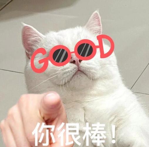 赞美的图片表情图片图标