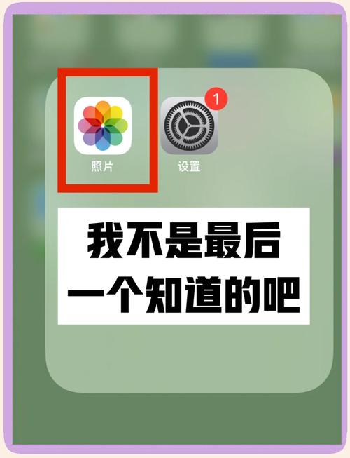 苹果原相机实况怎么打开截图