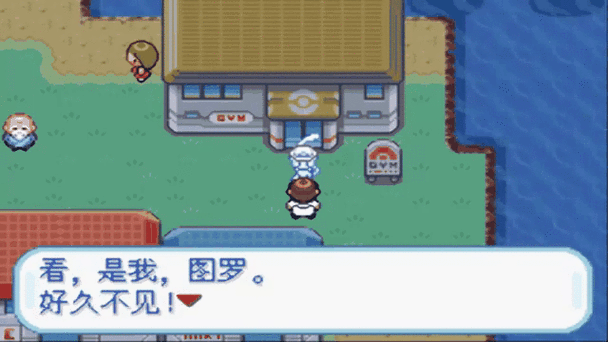 口袋妖怪锆石汉化
