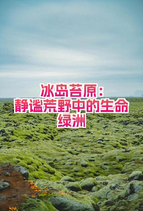 荒野大镖客2生命上限怎么提升图标