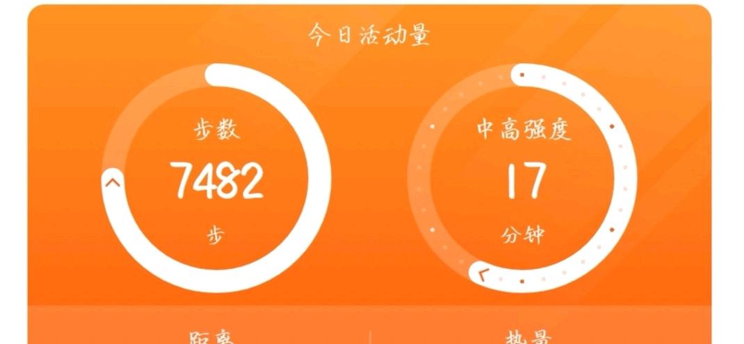 查看自己每天走路步数图标