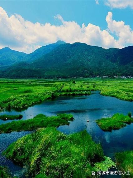 流午似水难回头图标